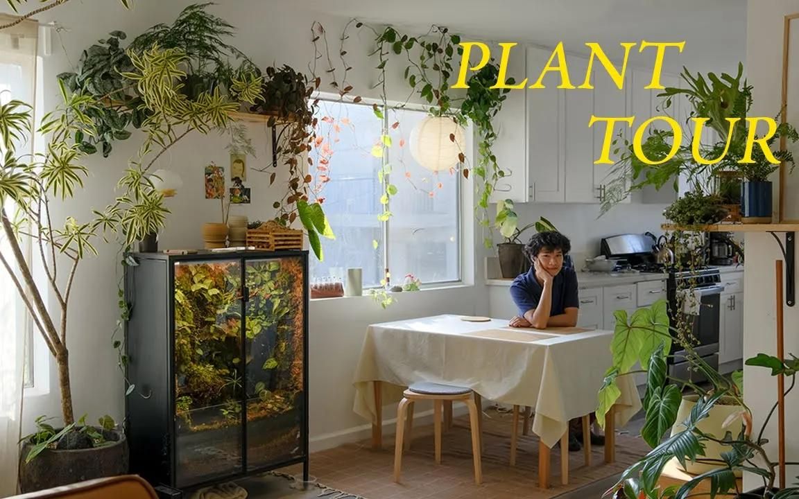 benjiplant】英字 | 20211209 Relaxing Plant Tour my entire houseplant ...