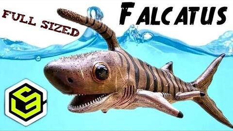 Falcatus Shark