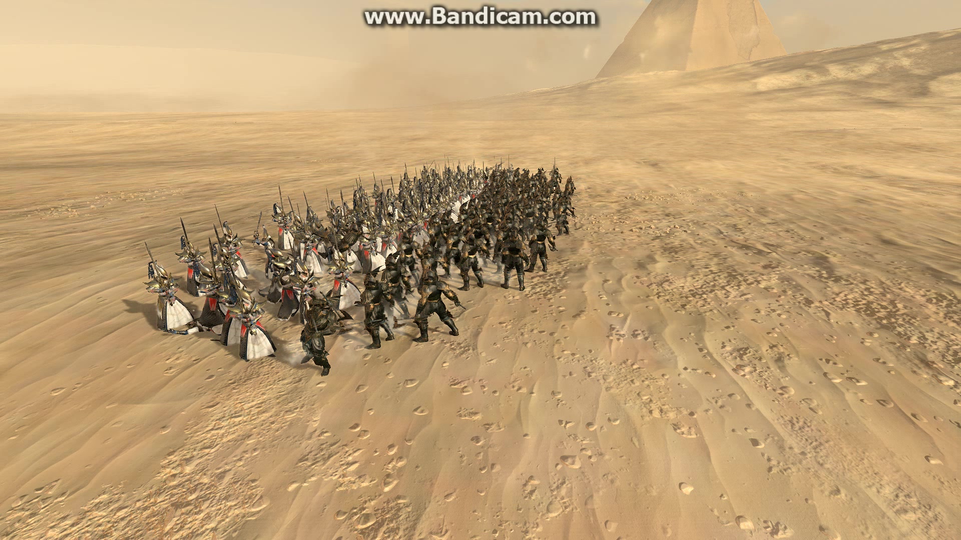 深海护卫VS荷斯剑圣_哔哩哔哩_bilibili