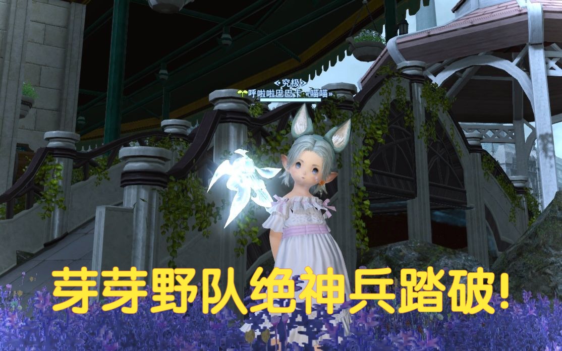 【FF14初见】豆芽大战末日暗影亚马乌罗提