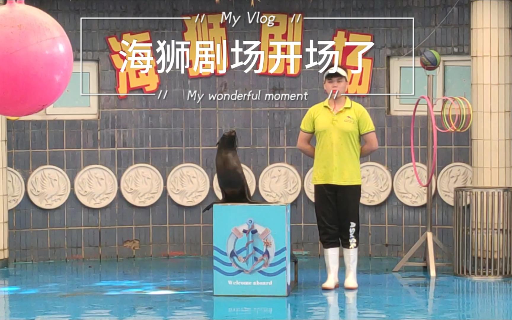 【剪辑】紫马岭动物园 海狮剧场-Jarmin哥-Jarmin哥-哔哩哔哩视频