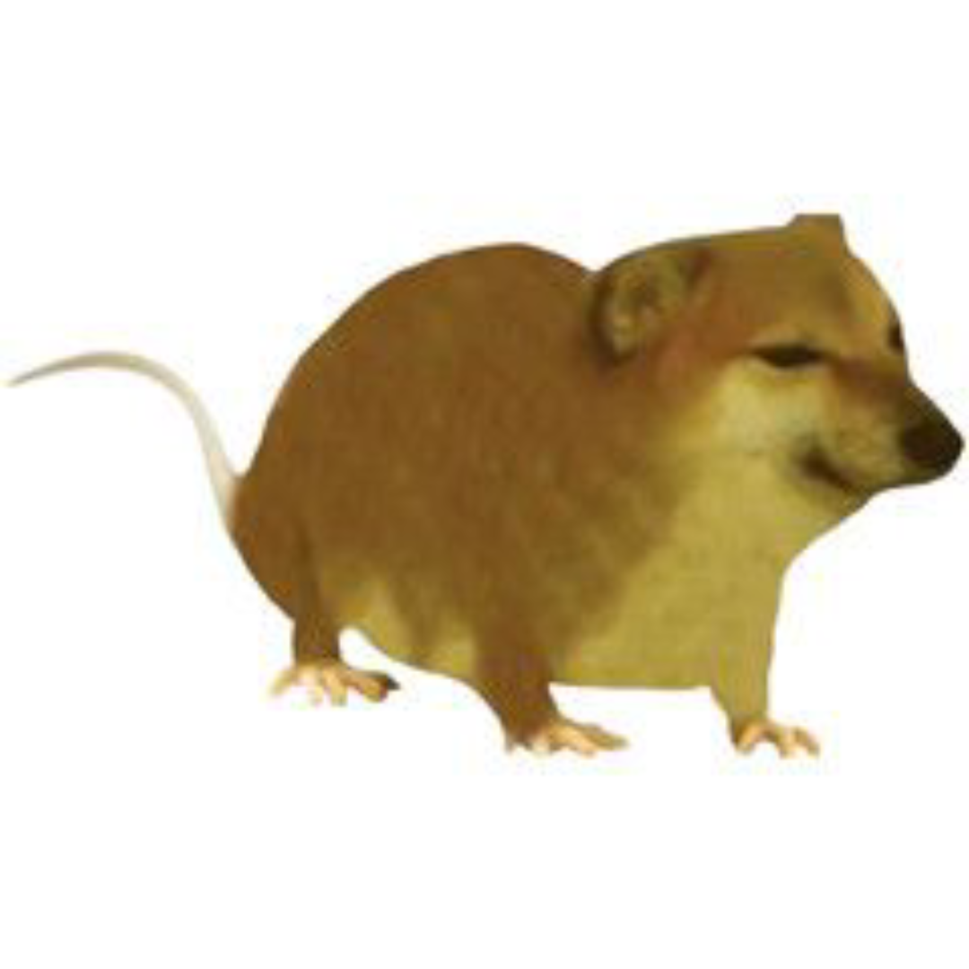 cheems永远爱你（cheems头像大全1）