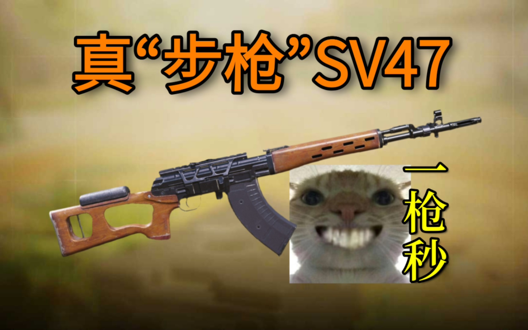 懂不懂什么叫一枪死的真步枪SV47-Yd幻想-Yd幻想-哔哩哔哩视频