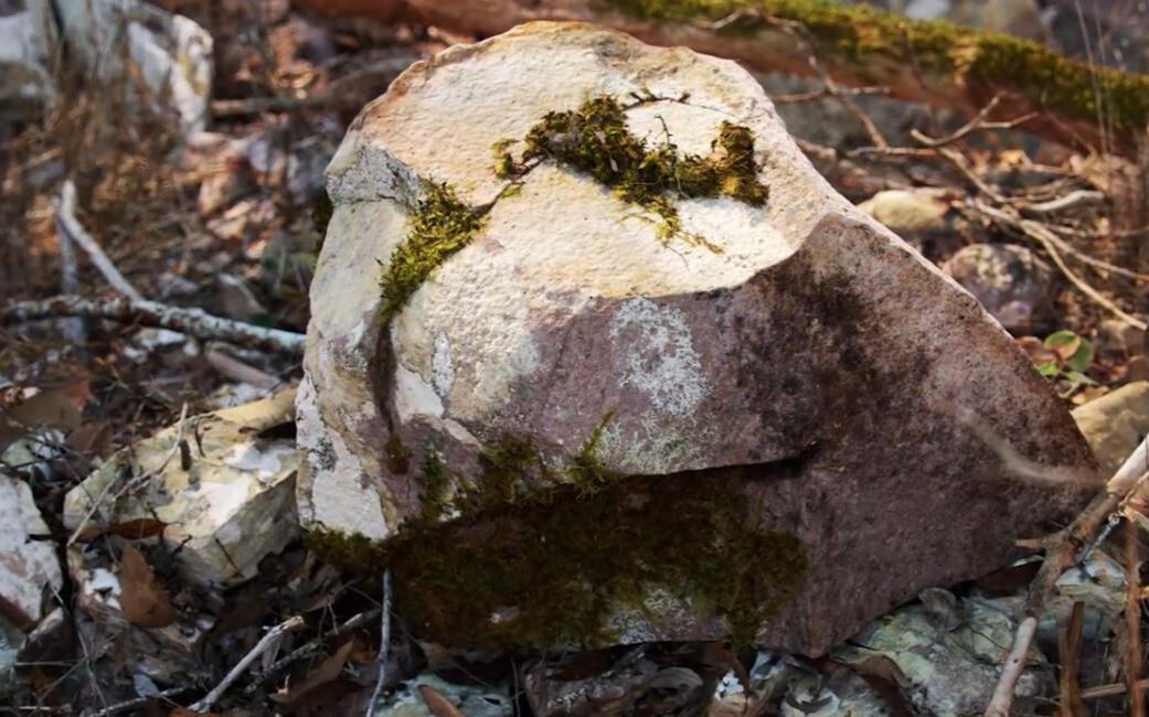 【Megascans】Megascans Bridge教程_哔哩哔哩_bilibili