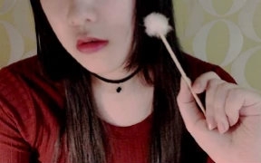 【ASMR】 PPOMO 耳朵清理_哔哩哔哩 (゜-゜)つロ 干杯~-bilibili
