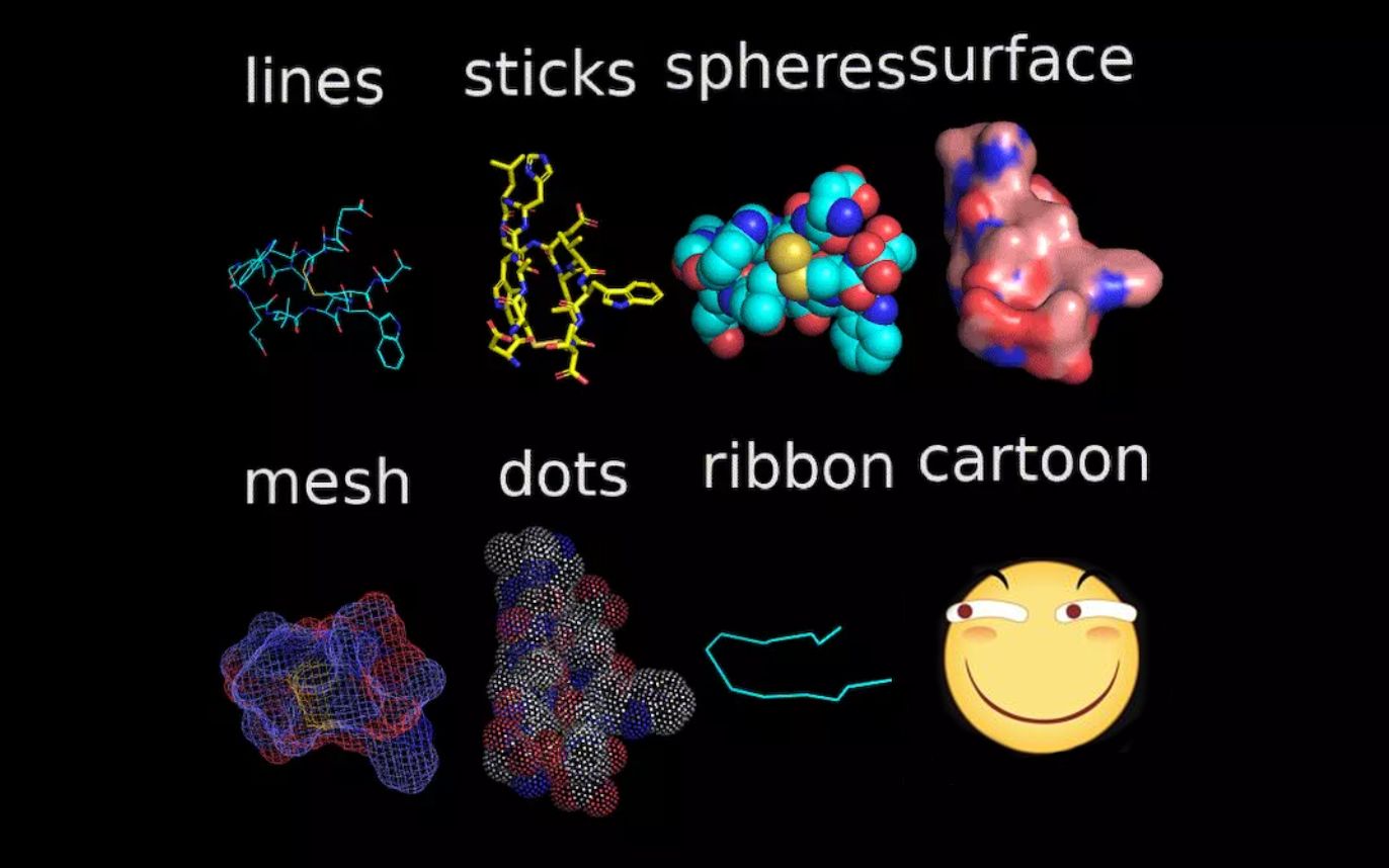 【PyMol作图入门】——2.给多肽链和小分子配基上色_哔哩哔哩_bilibili