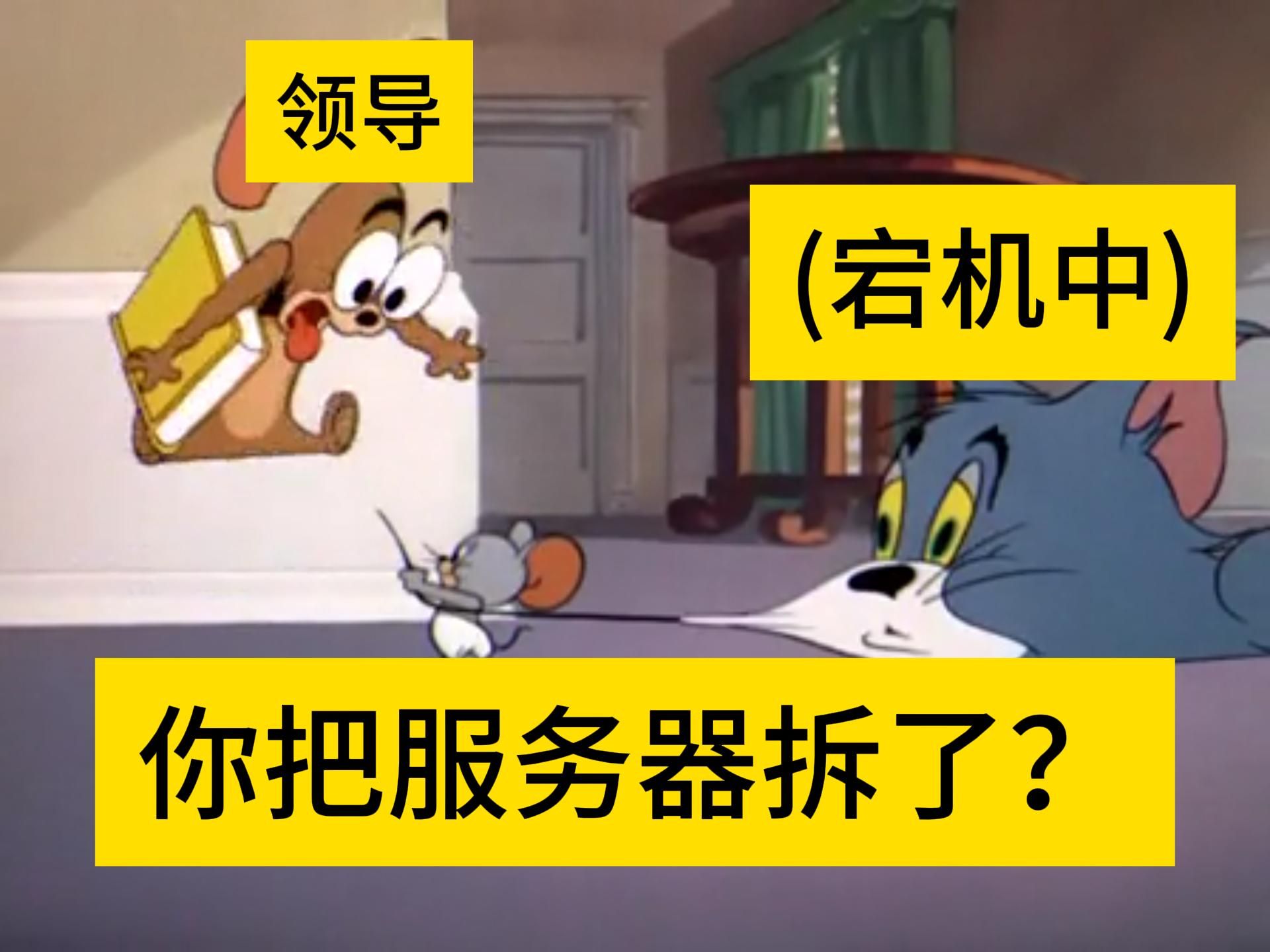 计算机学生实习现状-改BUG的TOM学长-改BUG的TOM学长-哔哩哔哩视频