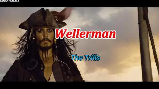 《Wellerman》就这欢快的节奏，杰克船长必须出场_哔哩哔哩_bilibili