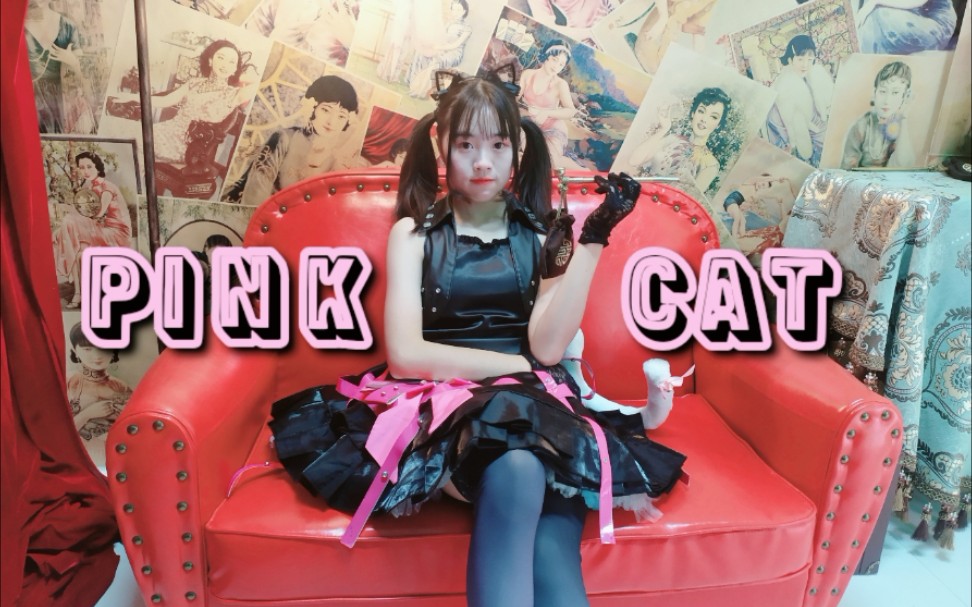 PINK CAT (⃔ ๑⃙⃘ 'ω' ๑⃙⃘ )⃕↝♡︎ʾʾ捕捉一只暴走小粉猫～两千粉福利，投稿500天纪念_哔哩哔哩_bilibili