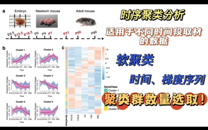 时序差异表达趋势绘制｜软聚类R包Mfuzz|高分文章常见的趋势分析图 - 哔哩哔哩