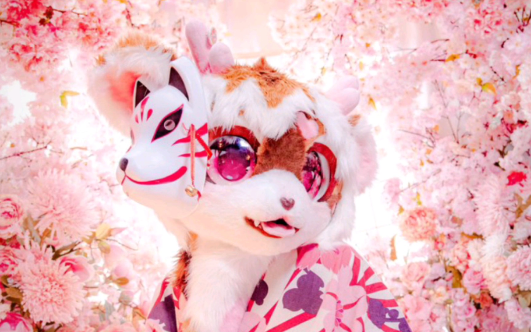 推特上的furry们 - 第四期_哔哩哔哩_bilibili