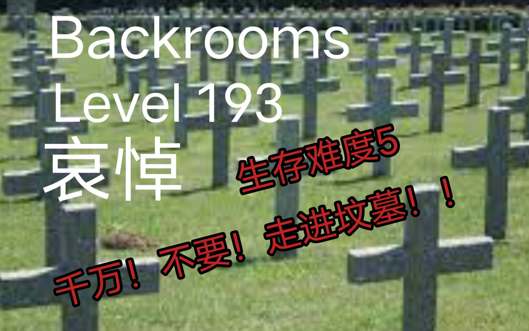【Backrooms】Level 193:哀悼 不要走进坟墓-北方の苟子-北方の苟子-哔哩哔哩视频