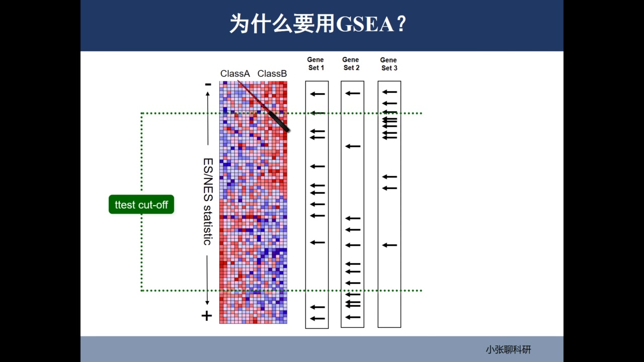 GSEA分析_哔哩哔哩_bilibili