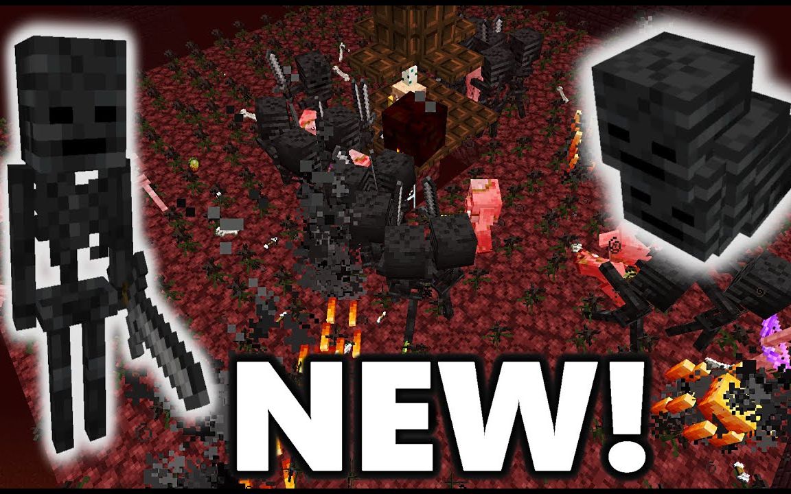 【MC】新的简单凋灵骷髅农场 1.16【Rays Works】_哔哩哔哩_bilibili