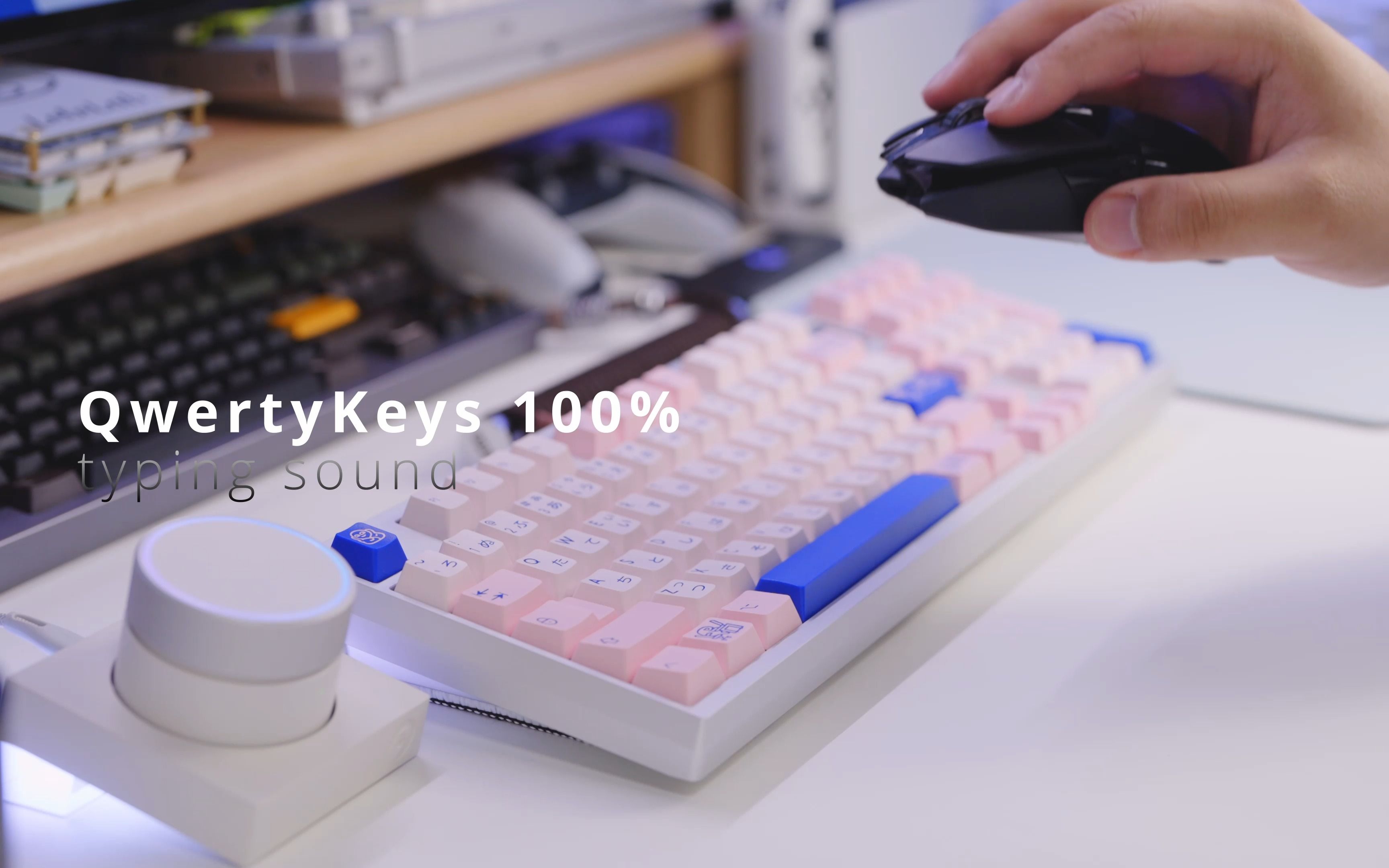 QwertyKeys 100% 打字音|qk100|阿尼亚轴|POCO - 视频下载 Video Downloader