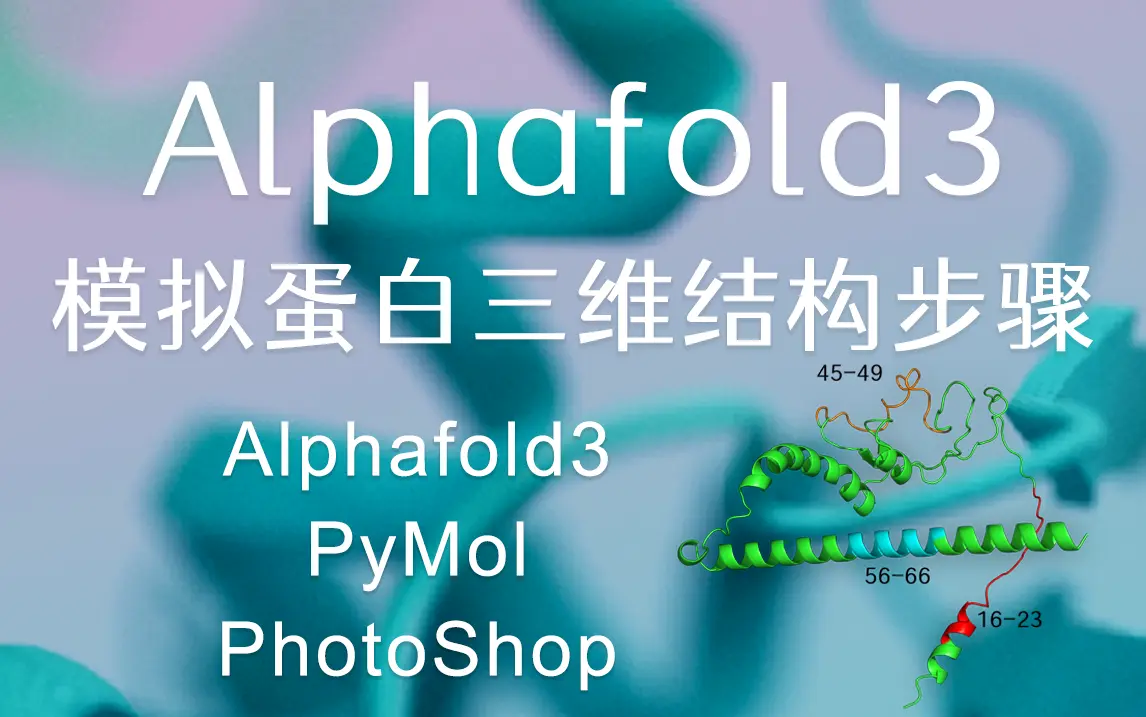 AlphaFold3+PyMol模拟三维结构步骤_哔哩哔哩_bilibili