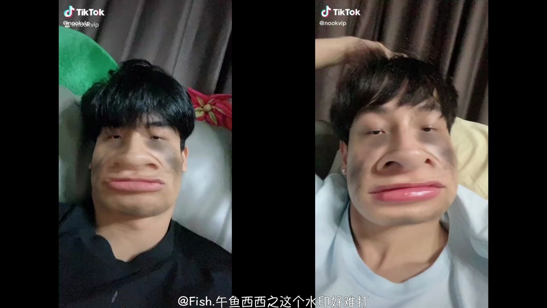 【TayGun】主宠一起玩变脸_哔哩哔哩_bilibili