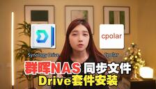 群晖Synology Drive安装结合cpolar内网穿透工具远程同步备份文件 - 哔哩哔哩