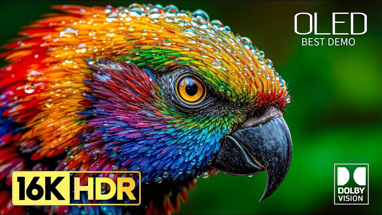 【4KHDR 真彩®】《最佳 4K HDR》—— ULTRA HD 60帧 杜比视界测试片源