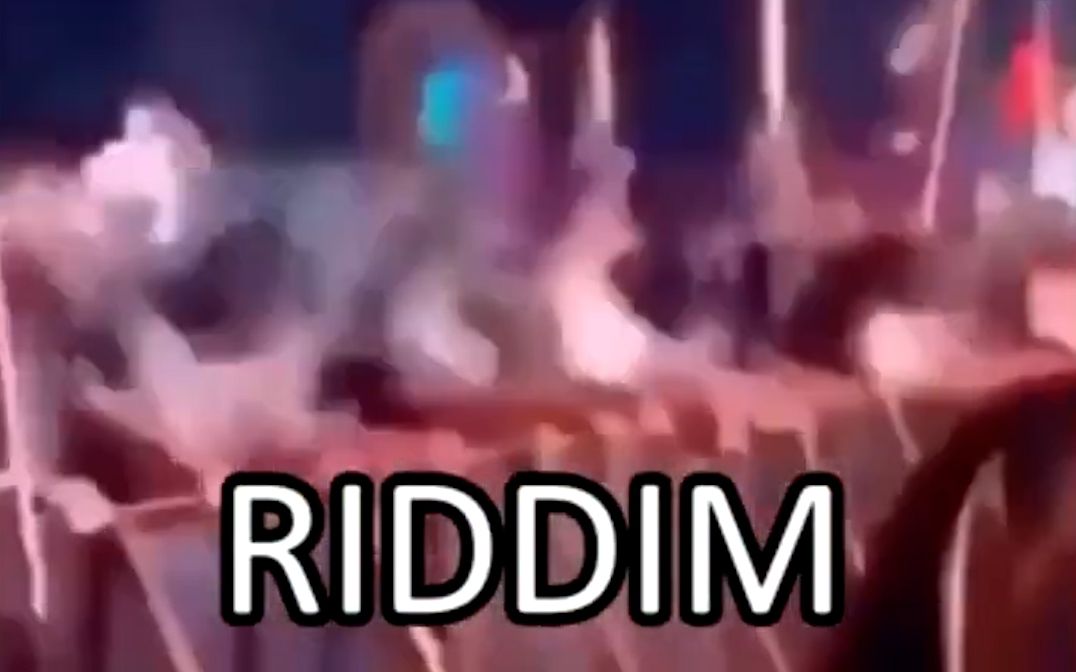 【搬运】外网Riddim memes合集_哔哩哔哩_bilibili