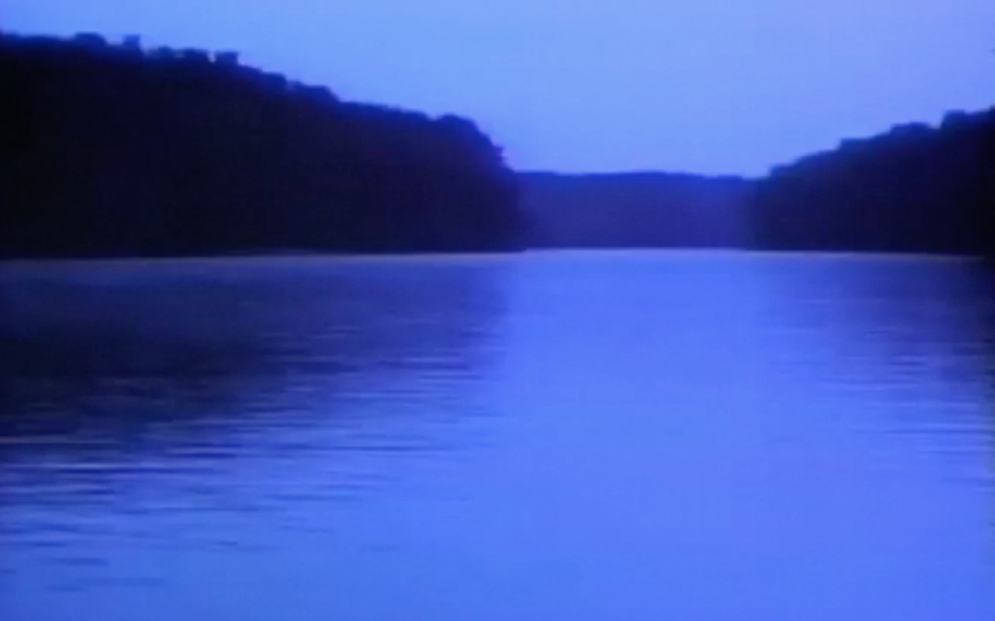 Kamal. - blue_哔哩哔哩 (゜-゜)つロ 干杯~-bilibili