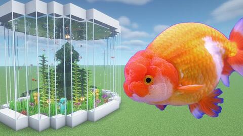 Minecraft Pe Fish Tank