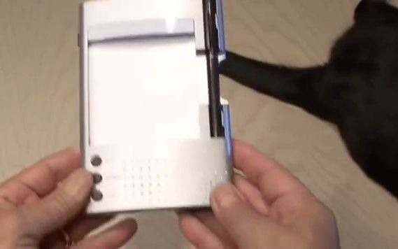 kipkay-被破解的计算器恶作剧！？(Hacked Calculator Prank!)_哔哩哔哩_bilibili