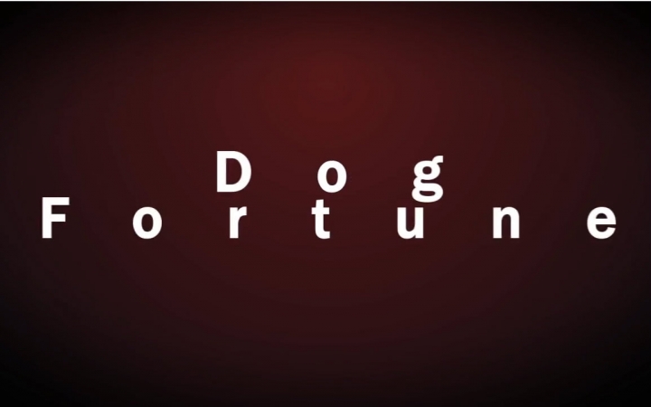 Dog Fortune_哔哩哔哩_bilibili