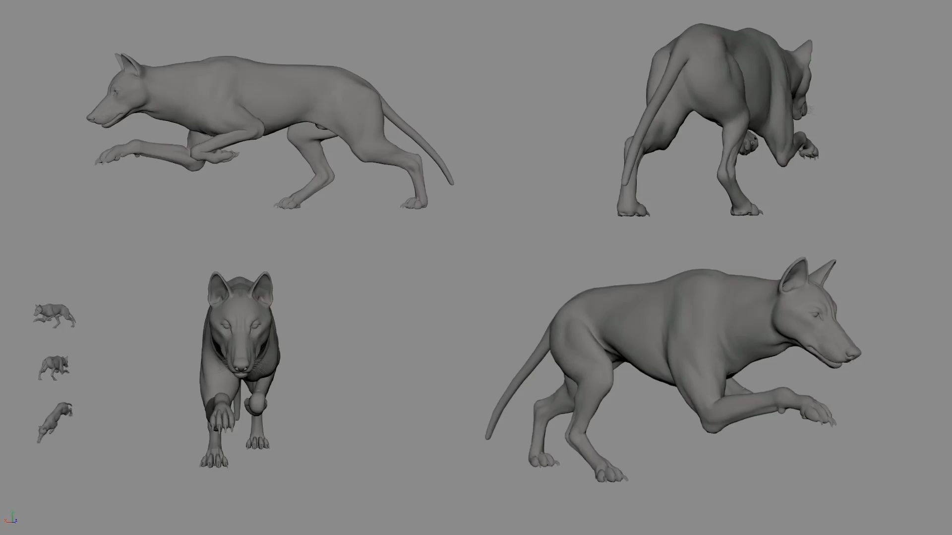 A wolf test animation reel 四足动物循环动画测试练习_哔哩哔哩_bilibili