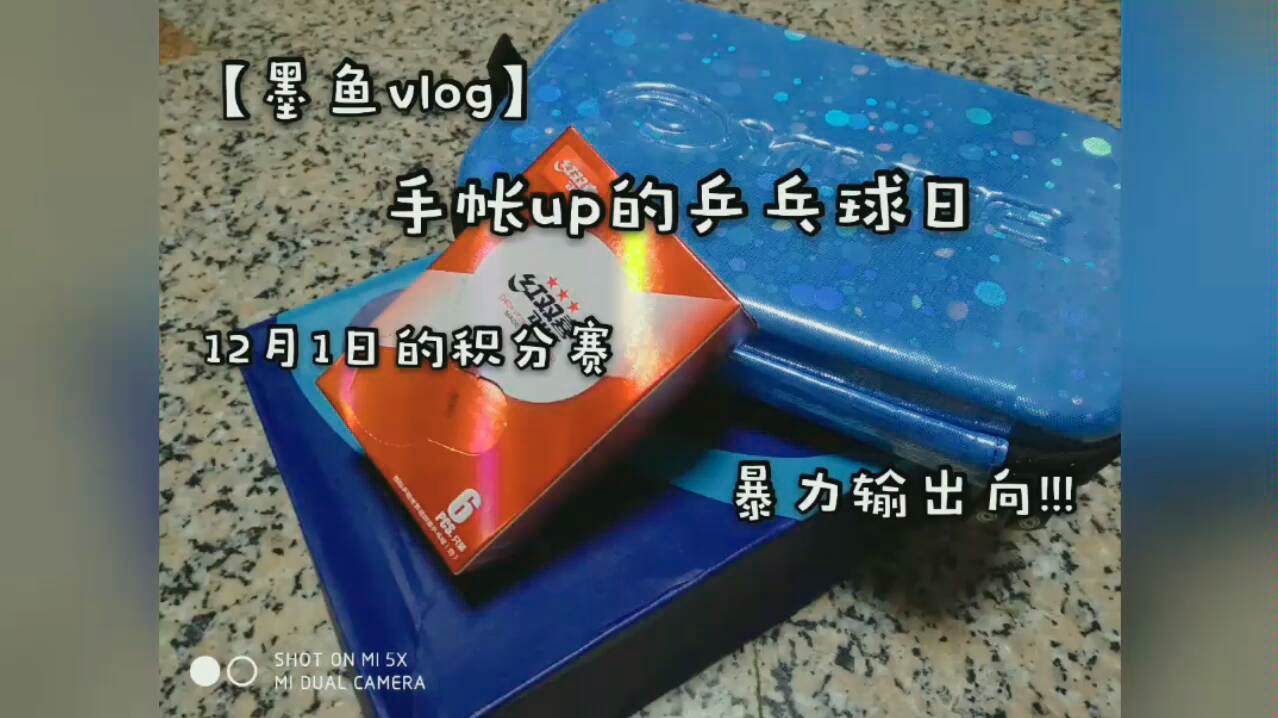 【墨鱼vlog】手帐up的乒乓球日/12.01/暴力输出向_哔哩哔哩_bilibili