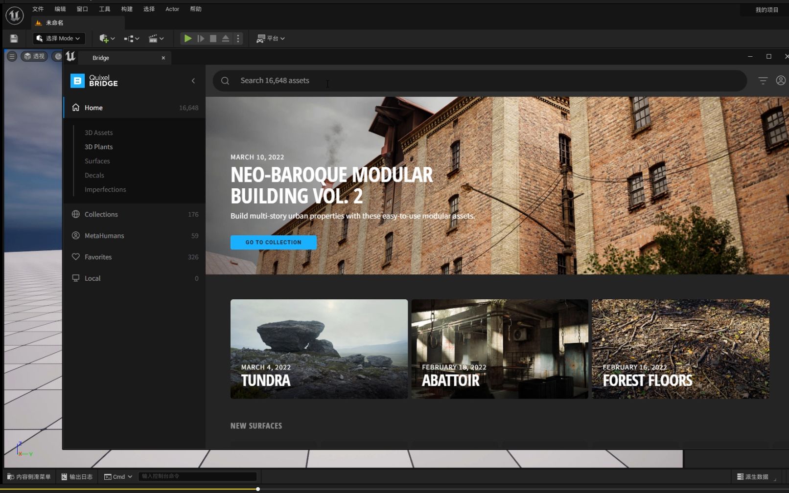 在UE5中使用Quixel Bridge Megascans 扫描资产 何勇作坊录制 虚幻引擎UnrealEngin5_哔哩哔哩_bilibili