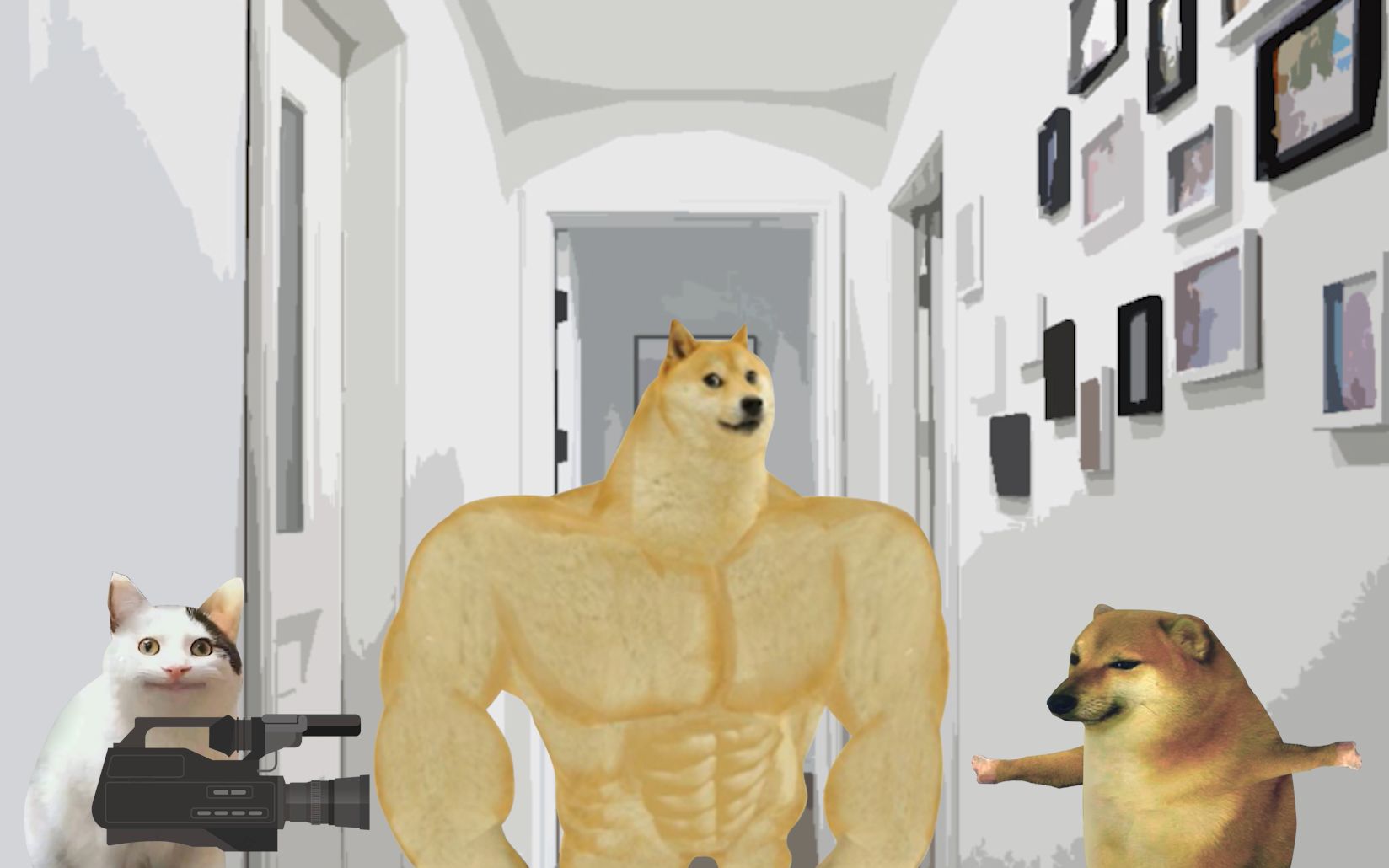 CHEEMS 去 采 访-CHeems的日常-CHeems的日常-哔哩哔哩视频