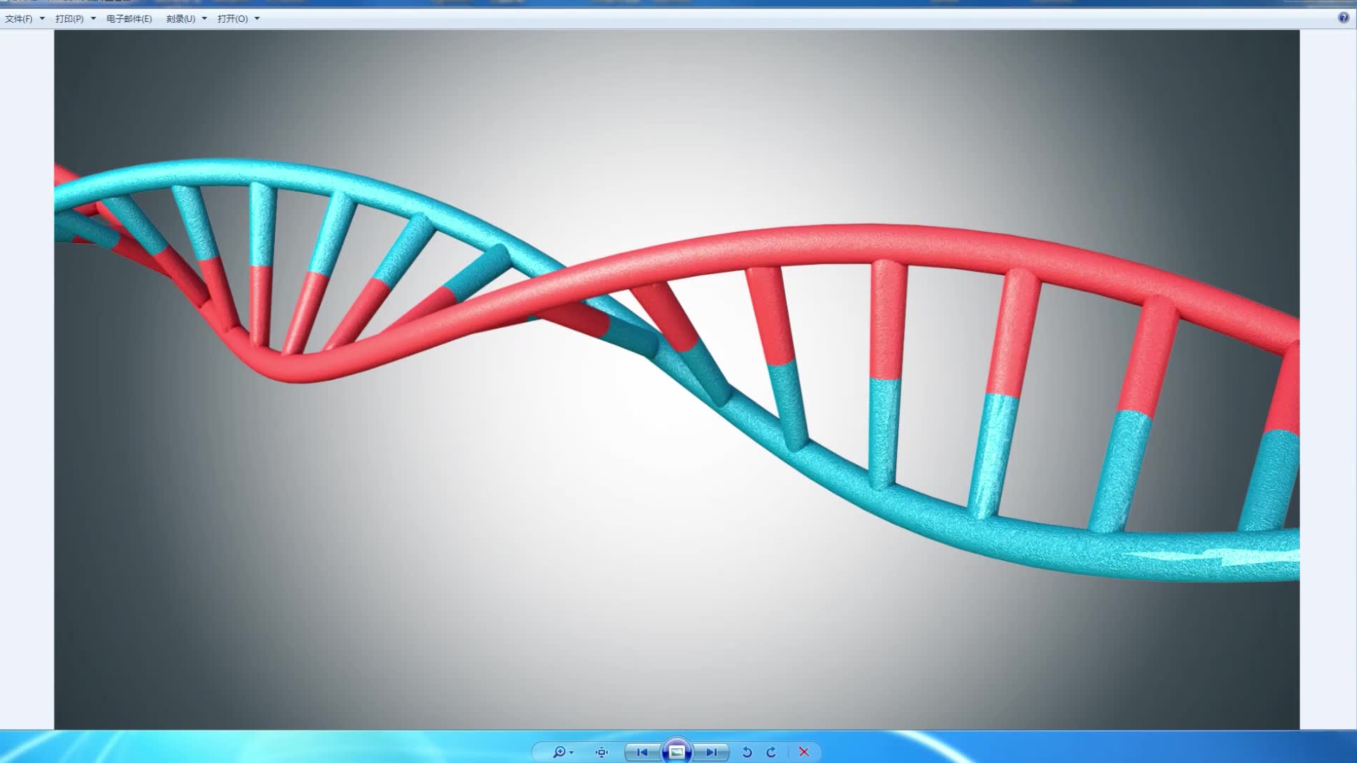 DNA 3D MAX教程_哔哩哔哩_bilibili