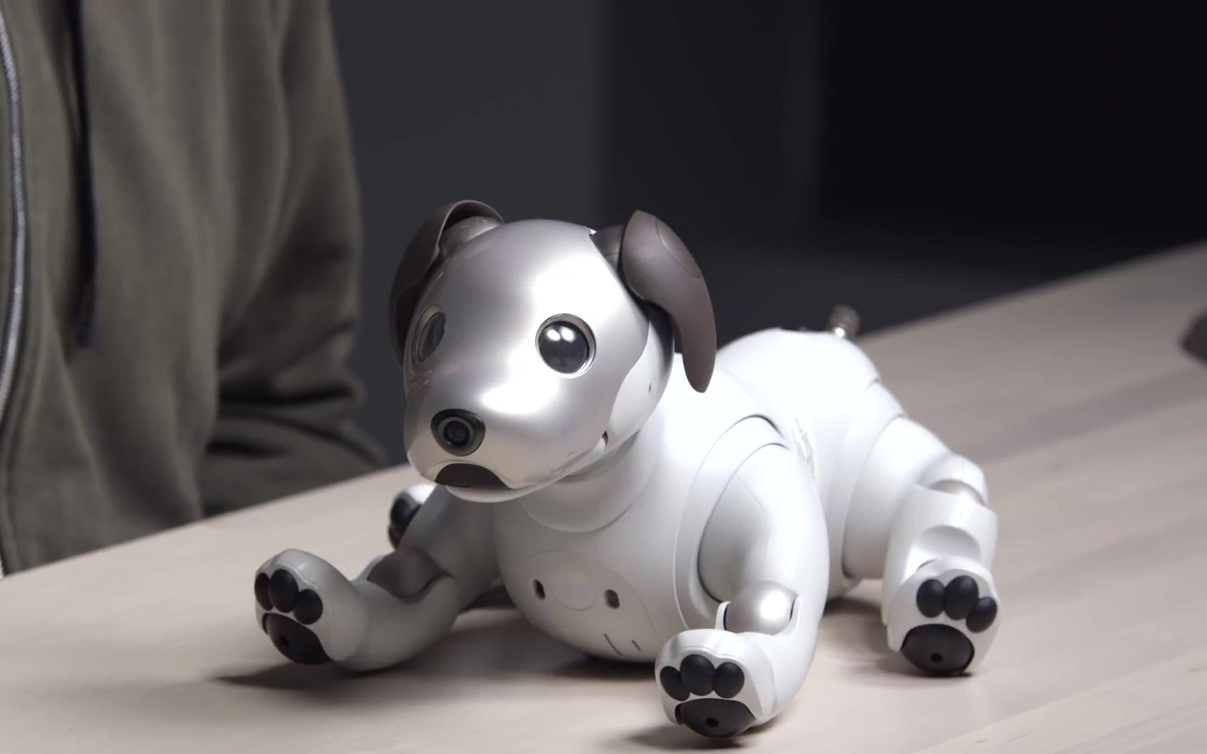 大法价值$3000的新一代机器狗Aibo评测_哔哩哔哩 (゜-゜)つロ 干杯~-bilibili