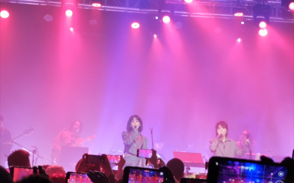 11.23房东的猫《你是我为数不多的骄傲》2021关于彻夜不眠的事情巡演广州站_哔哩哔哩_bilibili