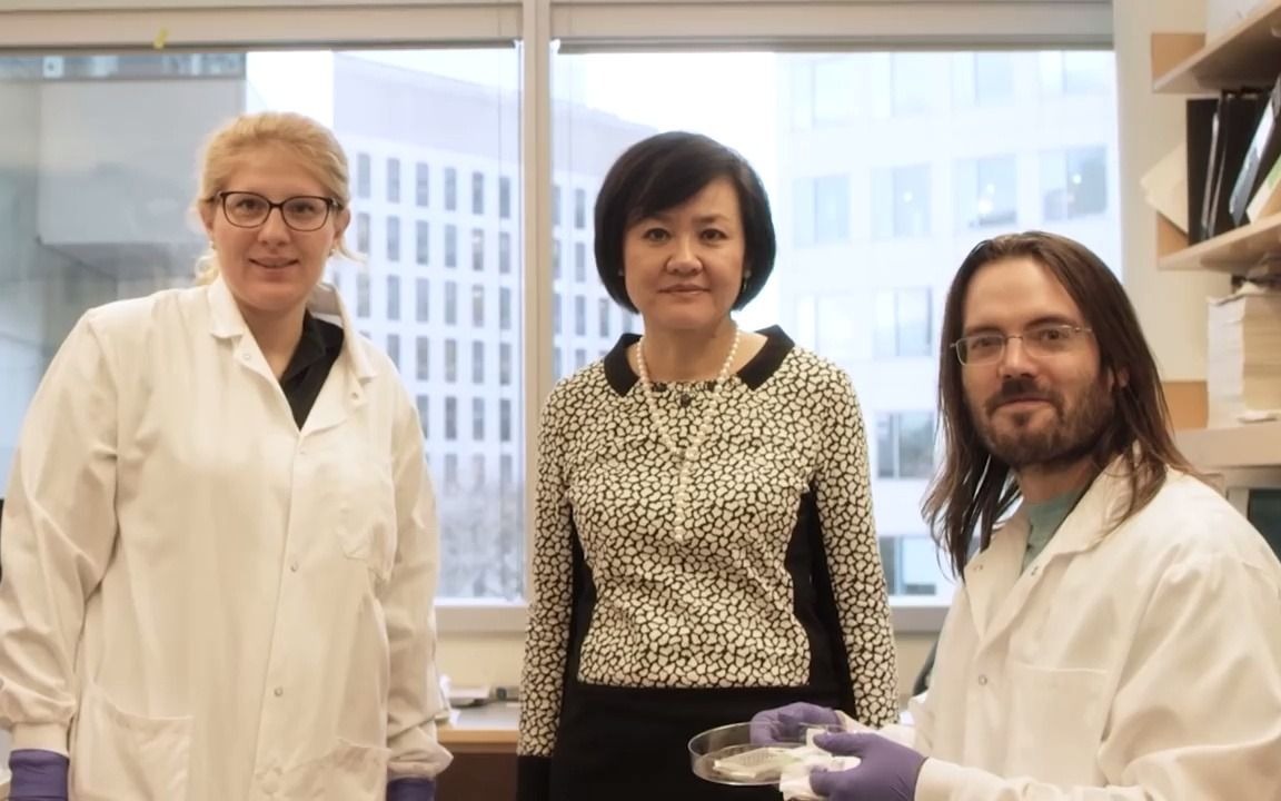 MIT Campaign for a Better World MIT宣传片，为世界做的更好_哔哩哔哩_bilibili