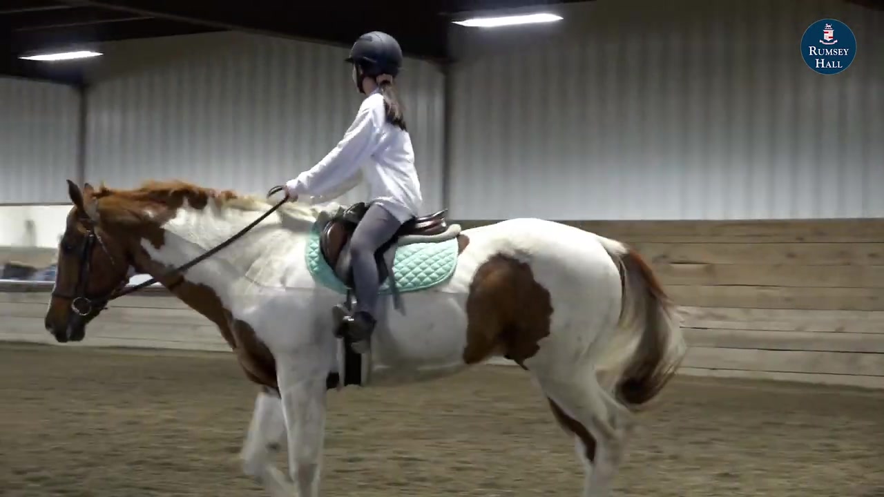 Horseback Riding - HQ.mp4_哔哩哔哩_bilibili