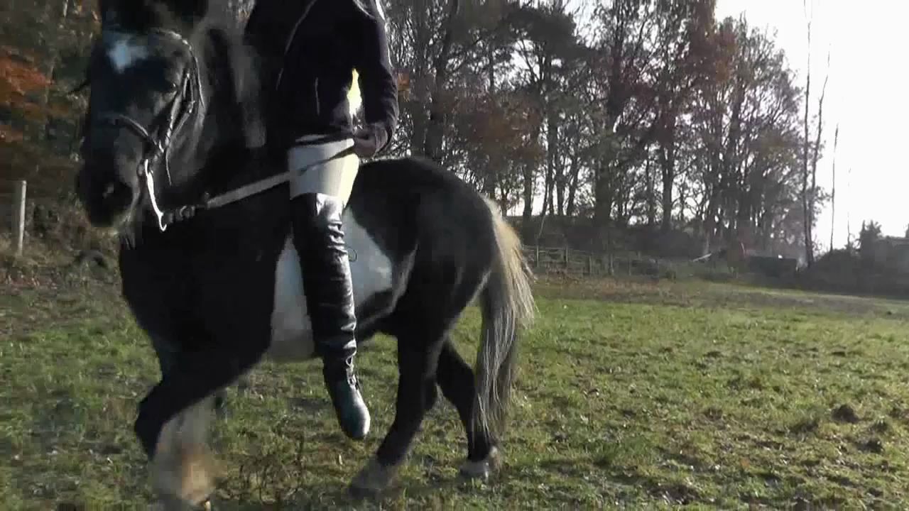 美女骑马之驯骑小马_哔哩哔哩_bilibili