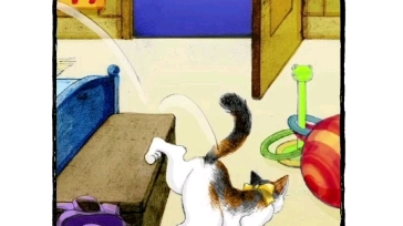 Lily the Cat_哔哩哔哩_bilibili