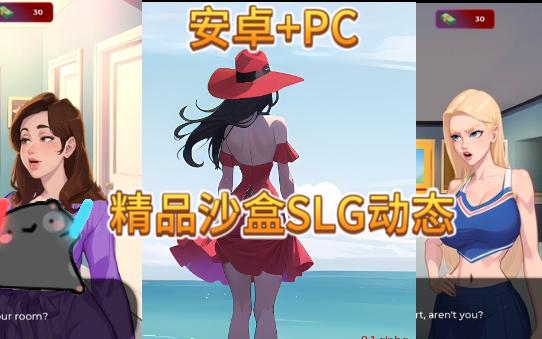 【安卓+PC】红帽檐 Red Brim v0.4 [沙盒SLG/汉化/动态] - 视频下载 Video Downloader