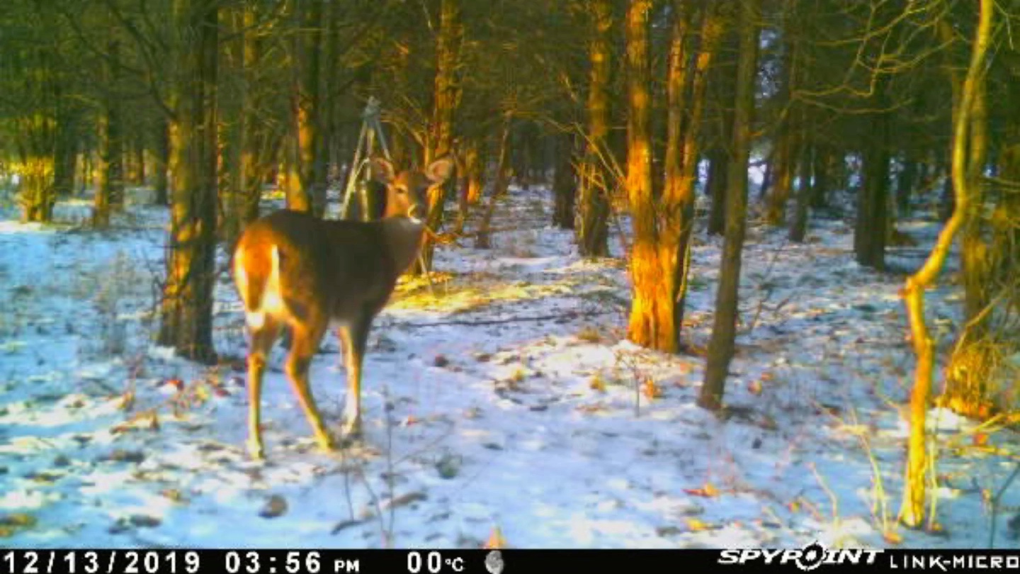 Charlie Hunting Team_哔哩哔哩_bilibili