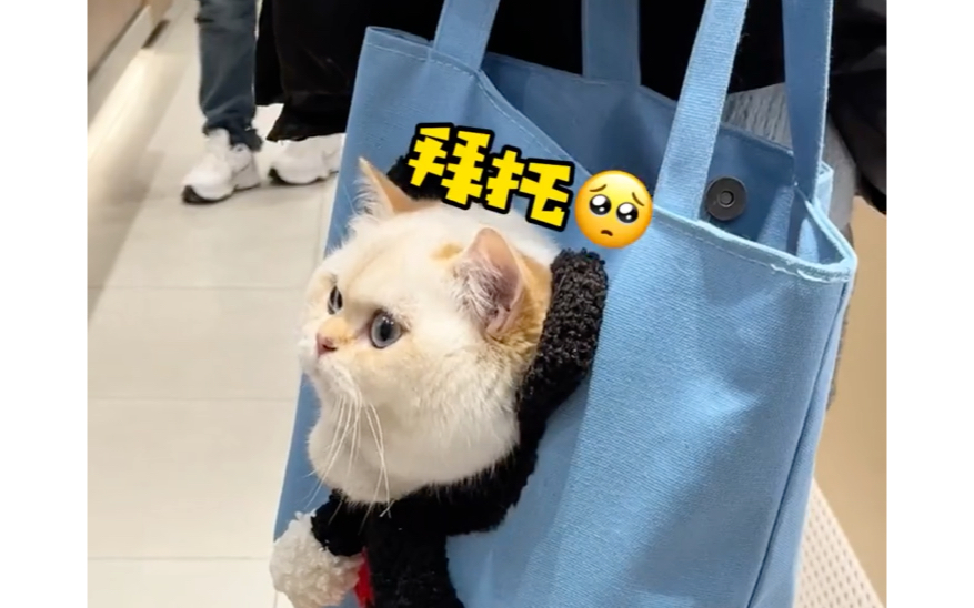 ffghhg_哔哩哔哩_bilibili