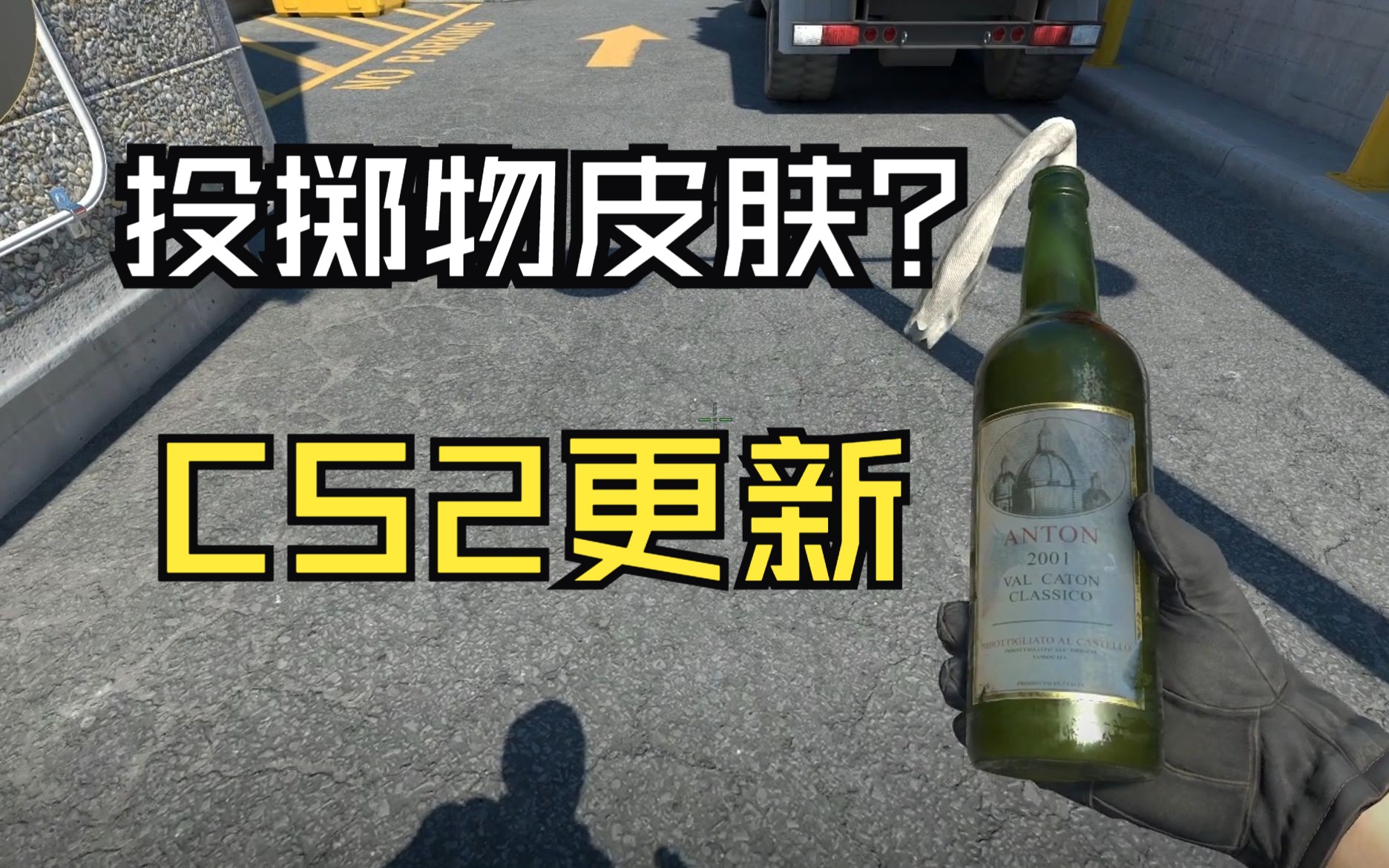 ropz享受CS2燃烧瓶检视动画