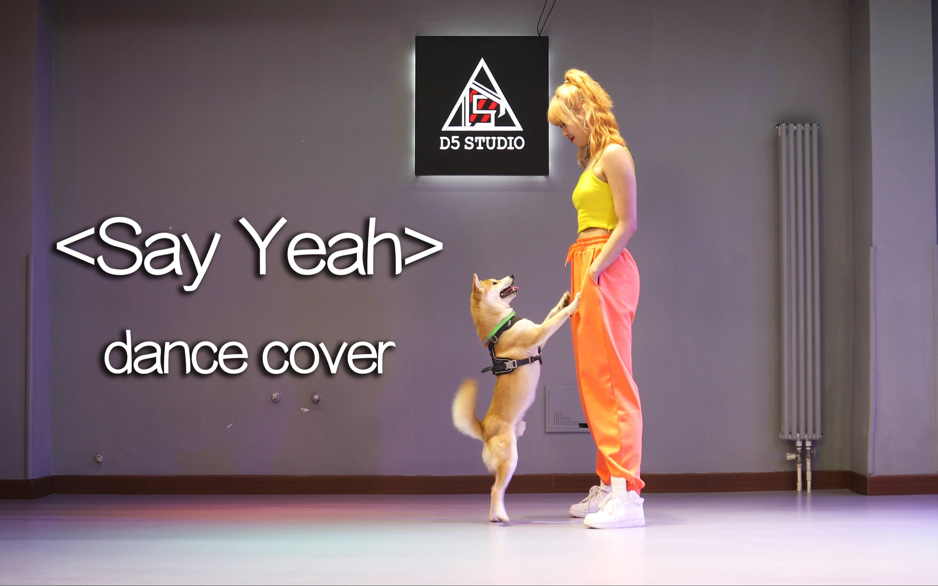 【D5安宁】4K+萌宠+Urban 不知道能俘获几个小姐姐的芳心 ｜Say Yeah , Funky Y Choreo_哔哩哔哩_bilibili