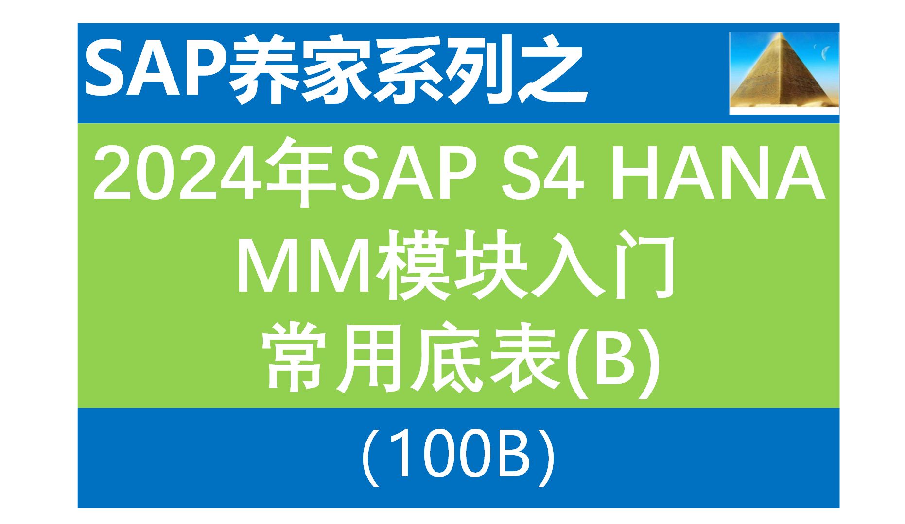 2022年S4 HANA MM 100 MM模块常用底表_B SAP MM SAP FICO SAP PP SAP SD SAP ABAP ...