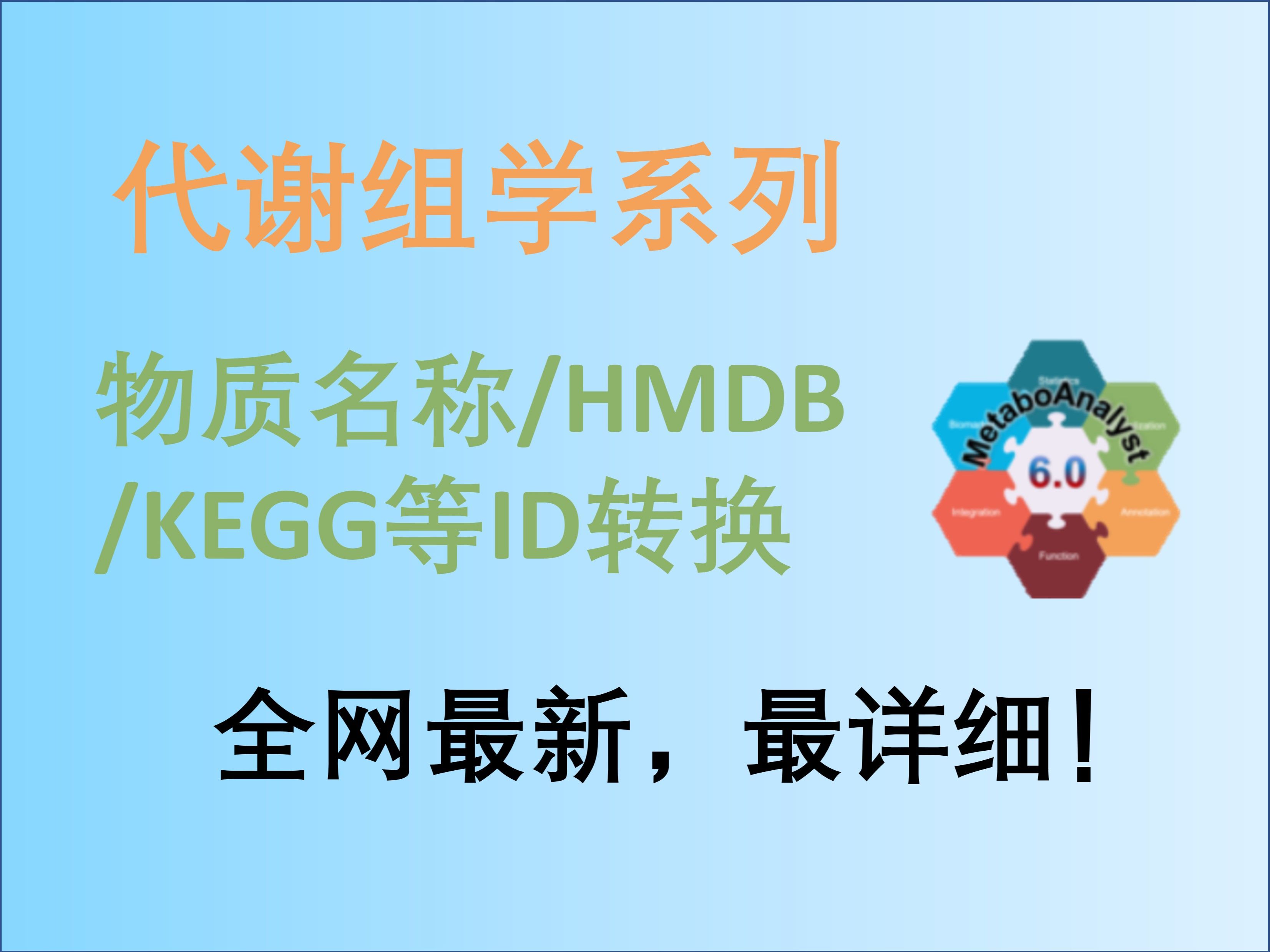MetaboAnalyst：物质名称/HMDB/KEGG等ID批量转换—保姆级教程，看了必会！！！-喜久大福-研究生-哔哩哔哩视频