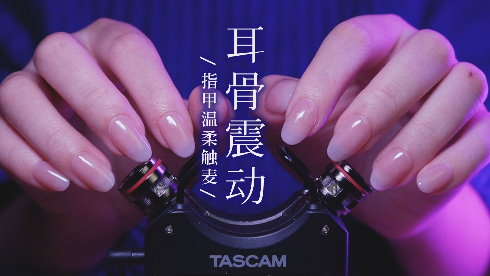 视频去哪了呢? 哔哩哔哩 Bilibili