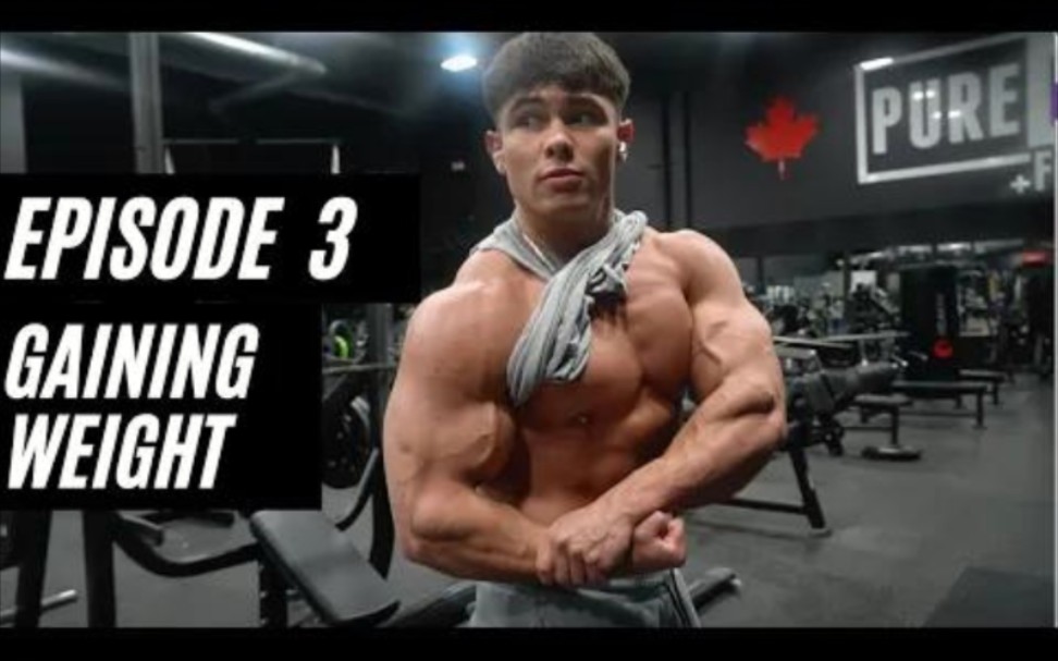 Devin Bernardo-让体格说话EP。3 |体重增加_哔哩哔哩_bilibili