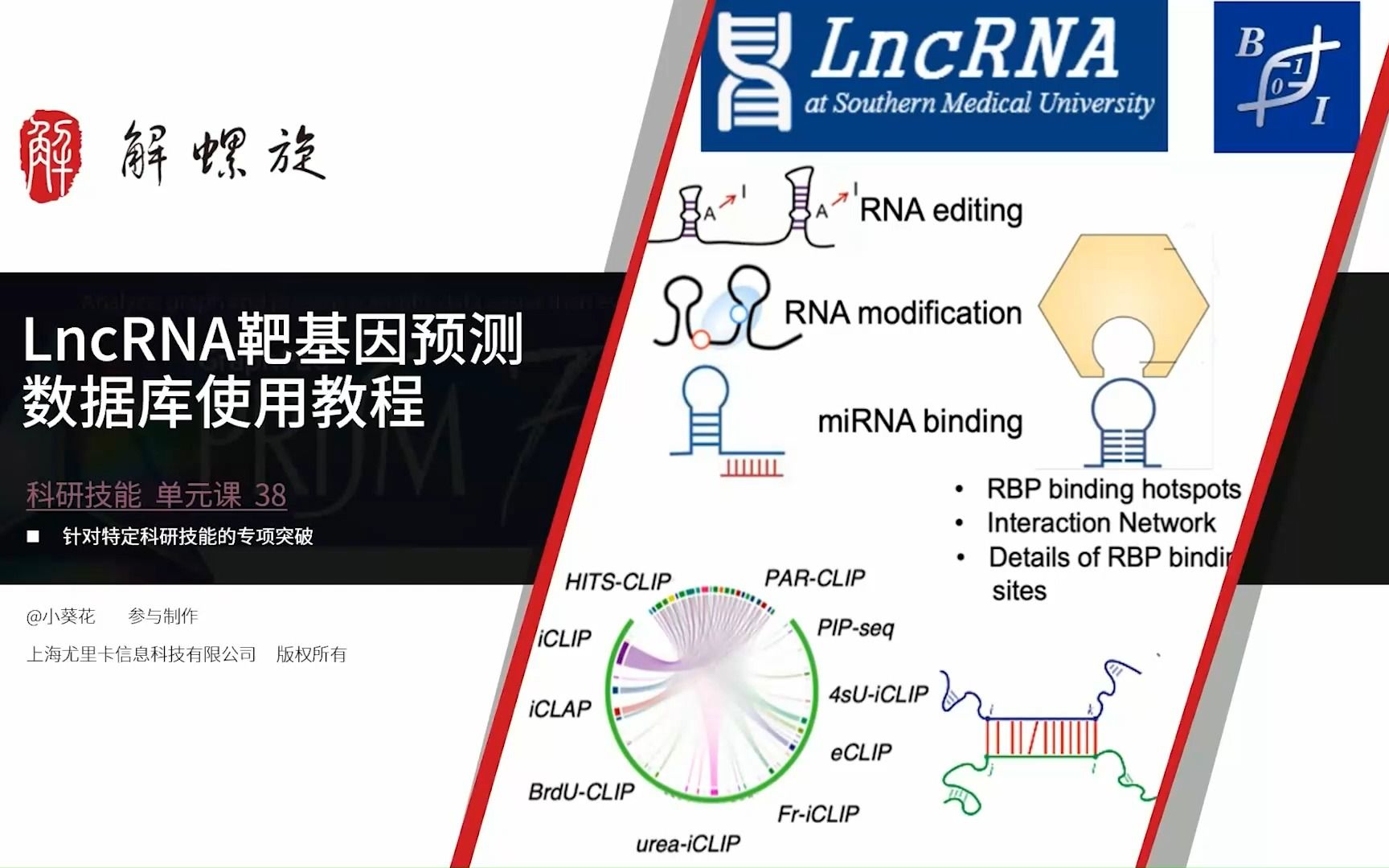 LncRNA靶基因预测数据库使用教程-给定LncRNA与RNA作用预测_哔哩哔哩_bilibili