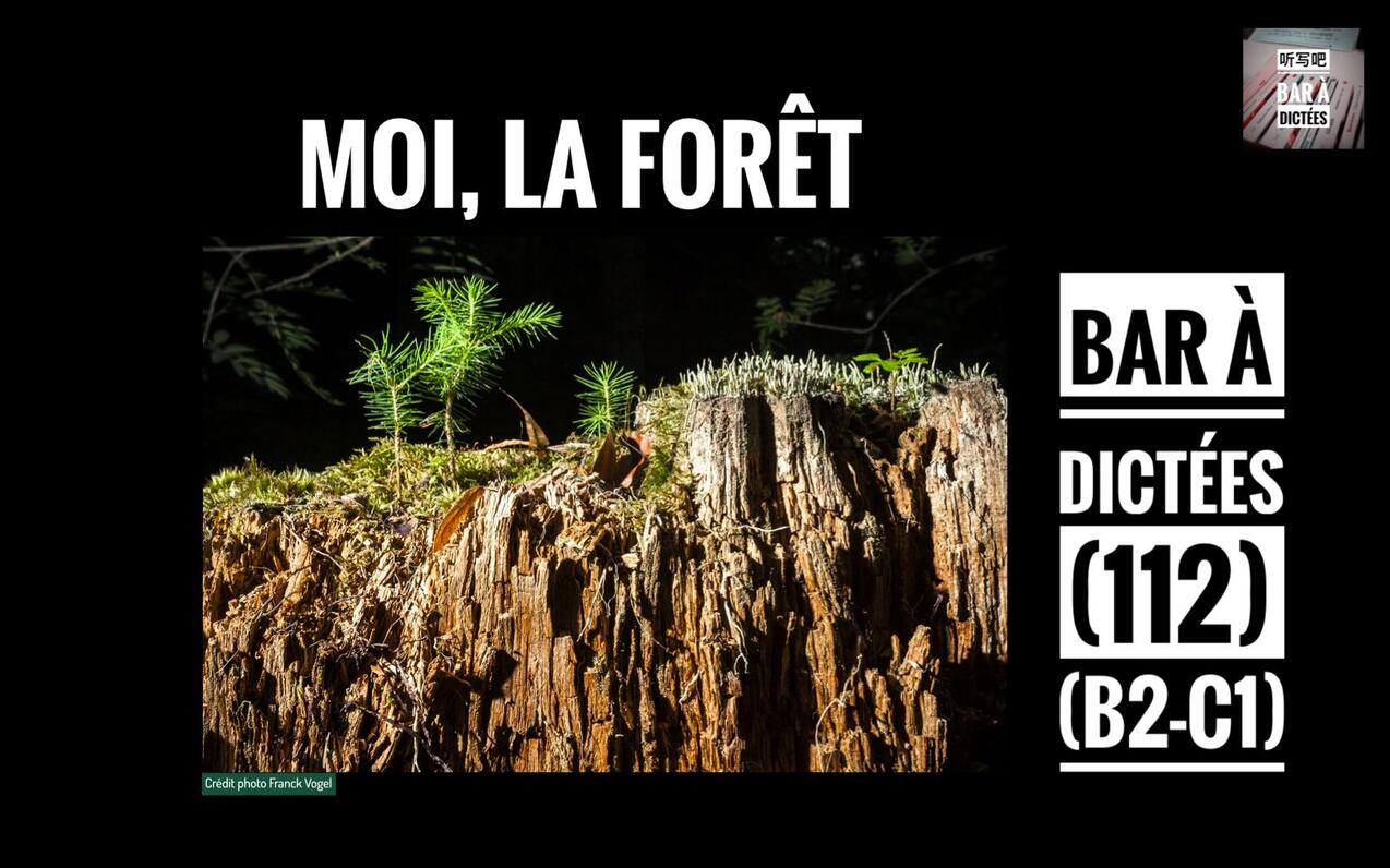 【听写吧】Dictée.112_Franck Vogel摄影展《我，森林... - 哔哩哔哩